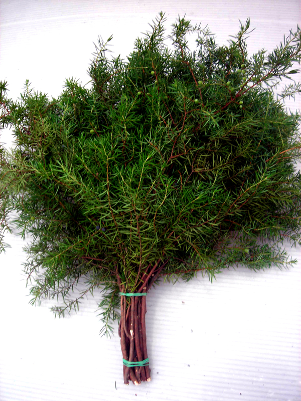 Медики открывают новые свойства и эффективность русской бани